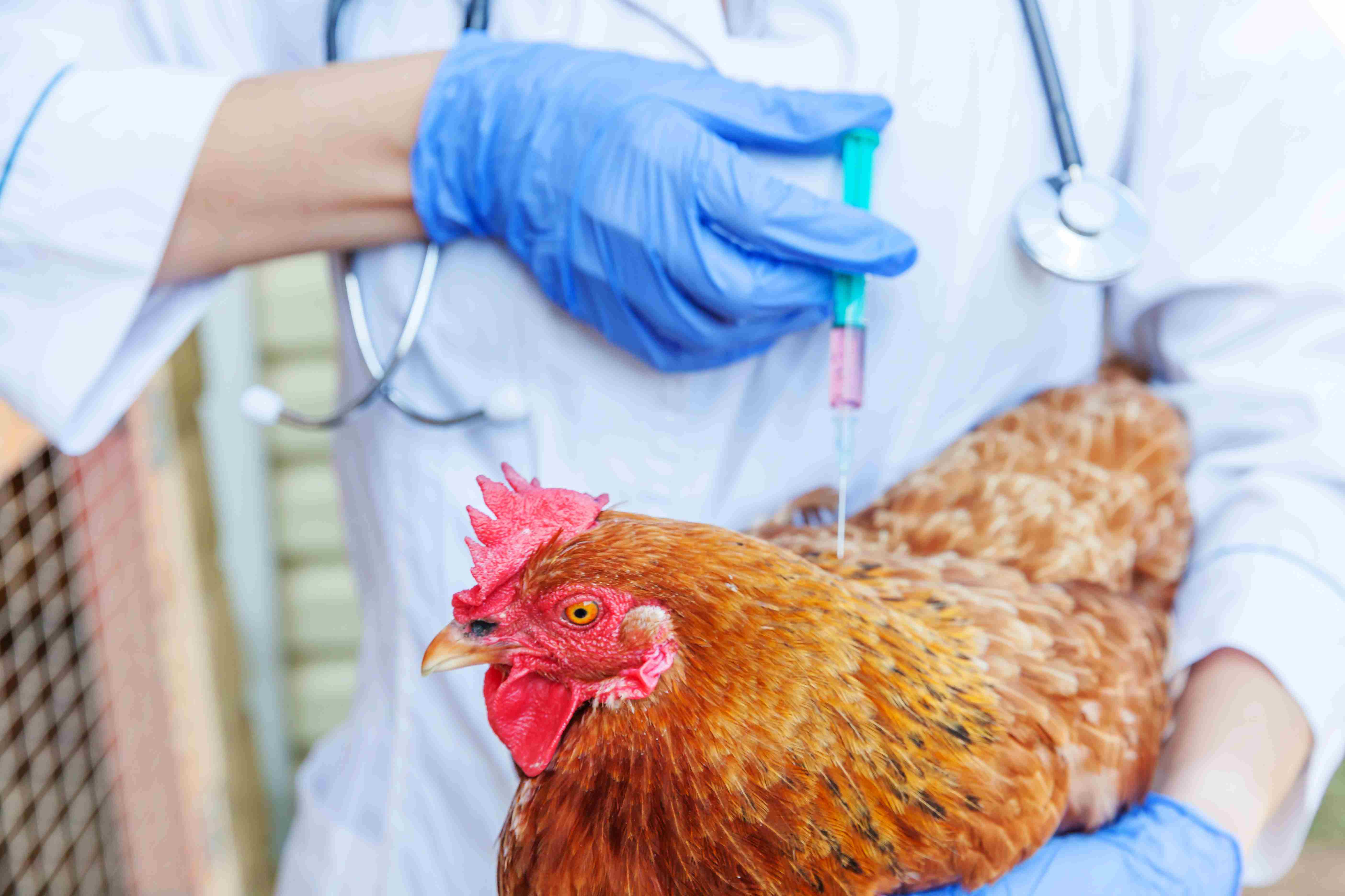 EVAPharma Animal Health